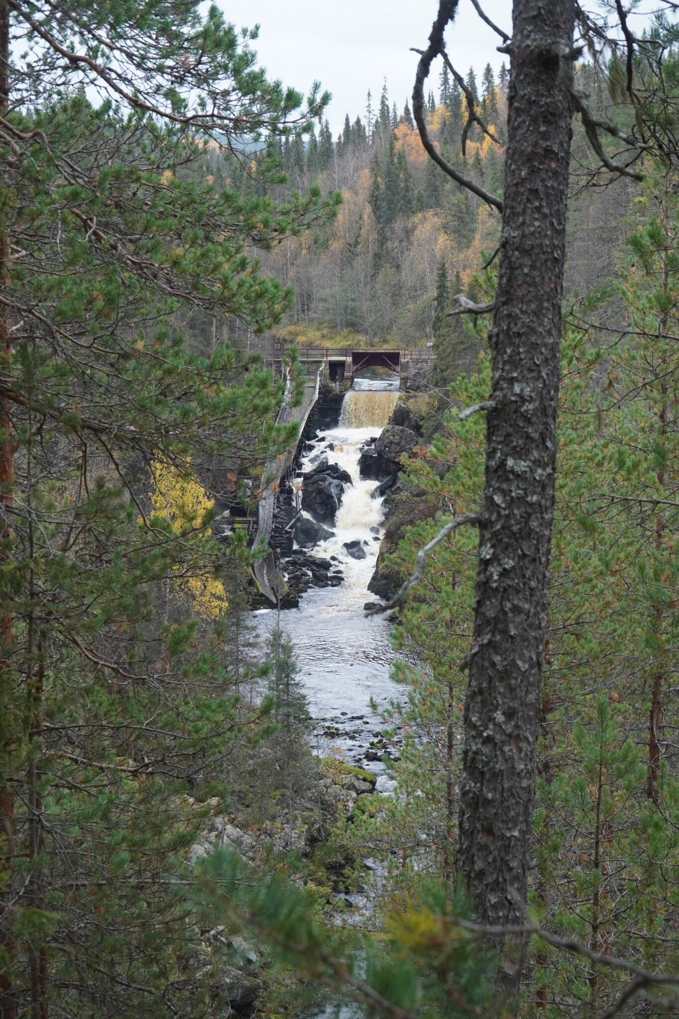 Un road-trip en Finlande en van ? Itinéraire & conseils • Julien & Morgan